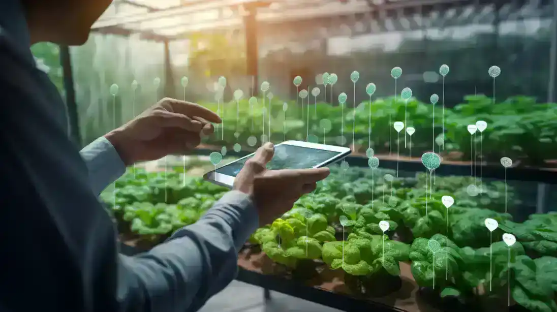 Smart Farming Solutions: Empowering 10 Revolutionary Solutions